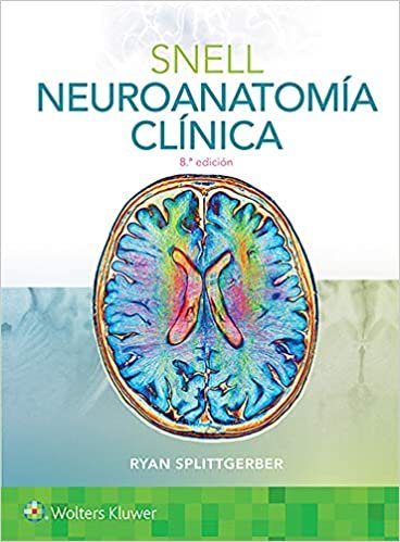 Paquete Neuroanatomía: (Snell. Neuroanatomía clínica 8ed , Netter ...